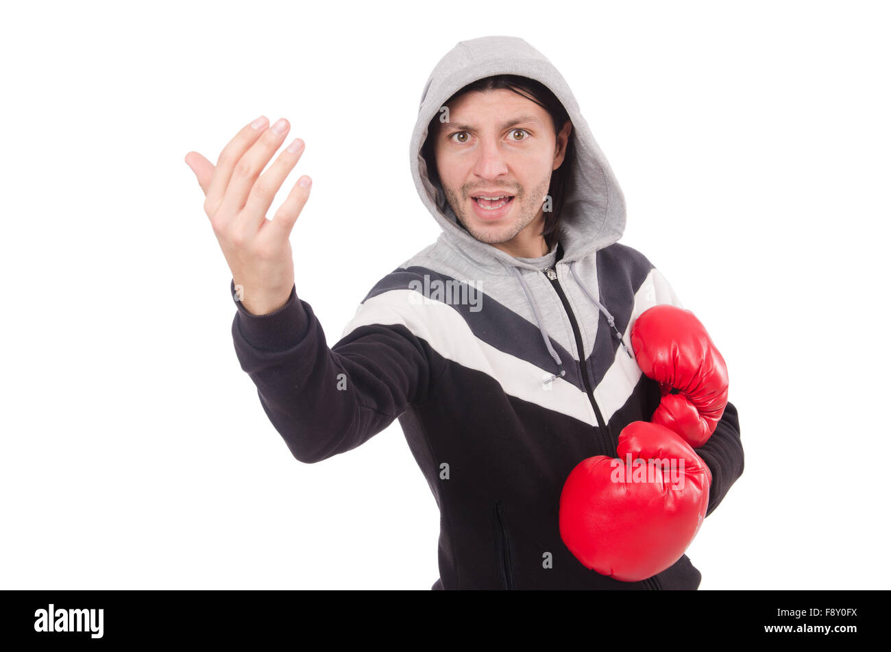 Funny boxer isolated on the white Stock Photo - Alamy