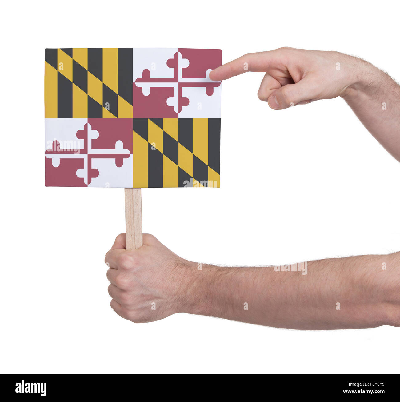 Hand holding small card, isolated on white - Flag of Maryland Stock ...