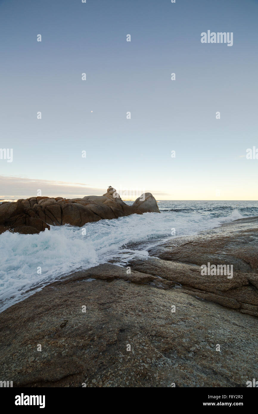 Rocks at the sea with a bird during the noon Stock Photo - Alamy