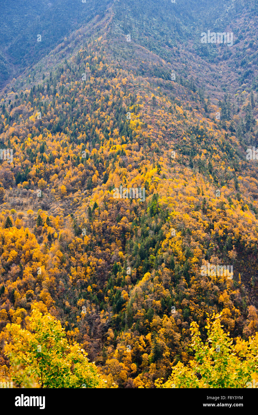 Mountain Ranges,Wooded Hillsides,Valleys,River Systems,Tibetan ...