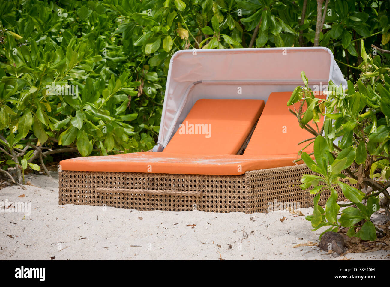 beach bed on white sand among palm trees in full sun Stock Photo - Alamy