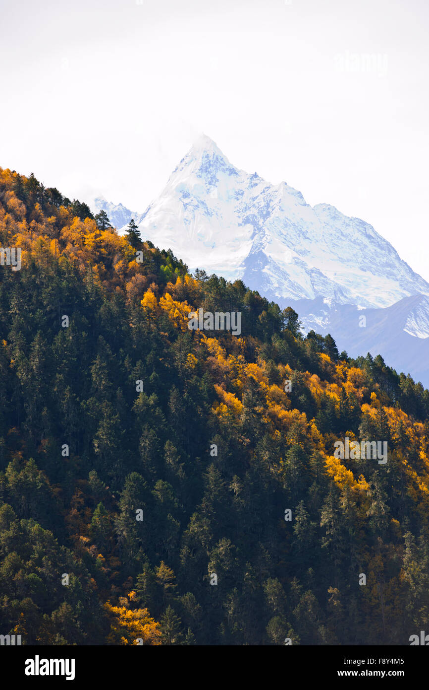 Mountain Ranges,Wooded Hillsides,Valleys,River Systems,Tibetan ...