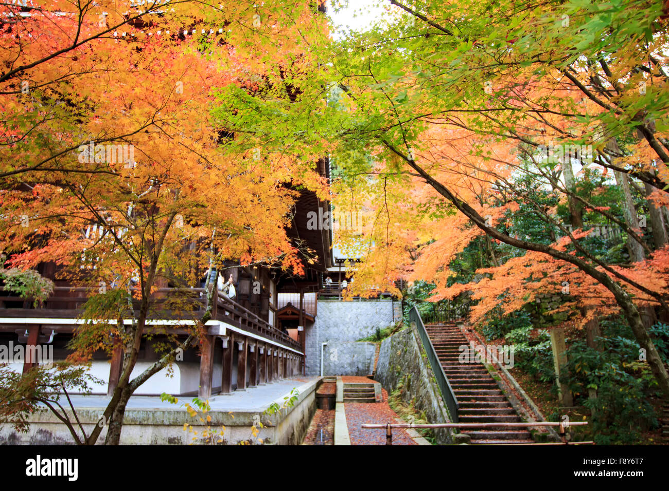 Fall in kyoto hi-res stock photography and images - Alamy