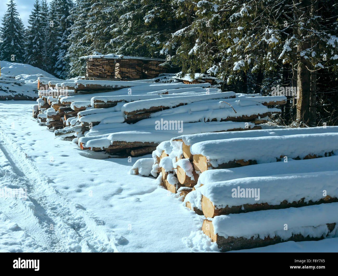 Firewood along country winter hi-res stock photography and images - Alamy