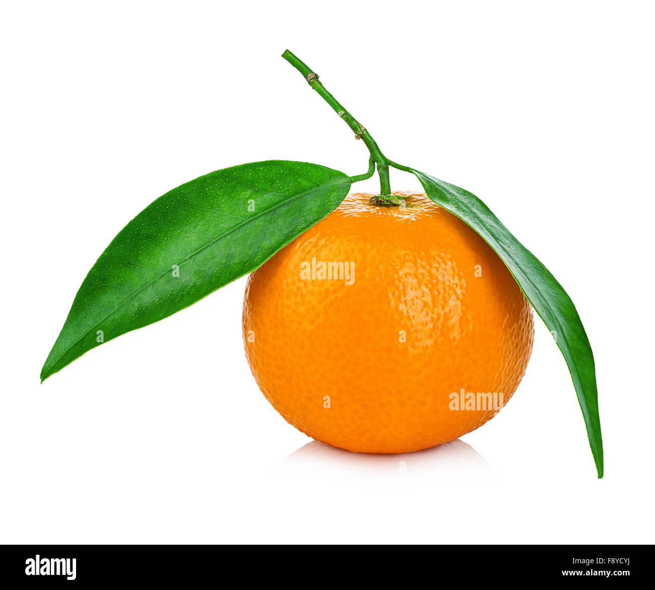 Ripe mandarin with green leaves close-up on a white background Stock ...