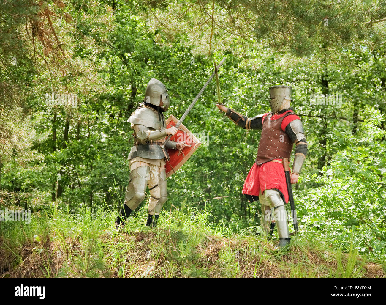 Two knights in armor is fighting at forest Stock Photo - Alamy