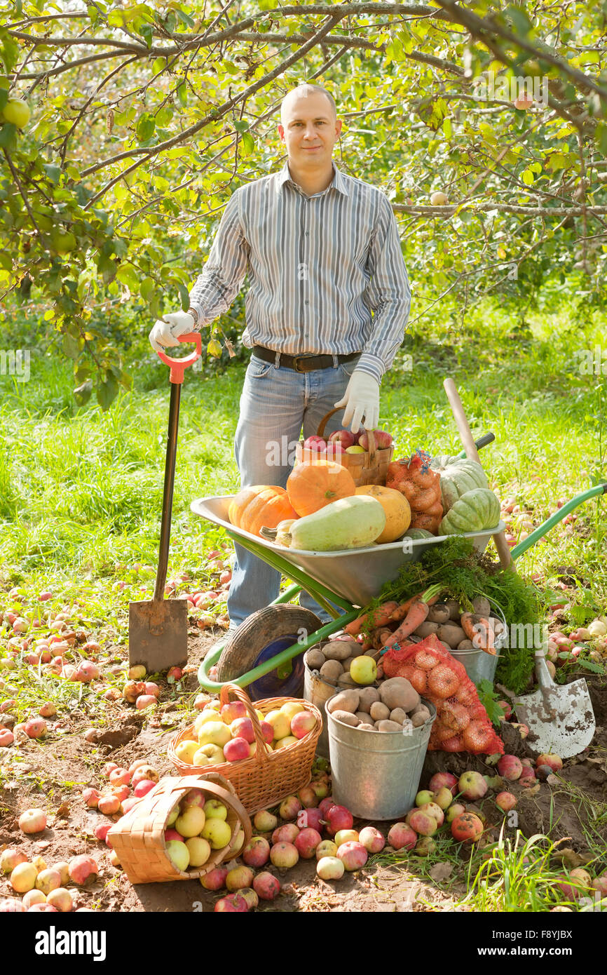 man with vegetables harvest in garden Stock Photo - Alamy