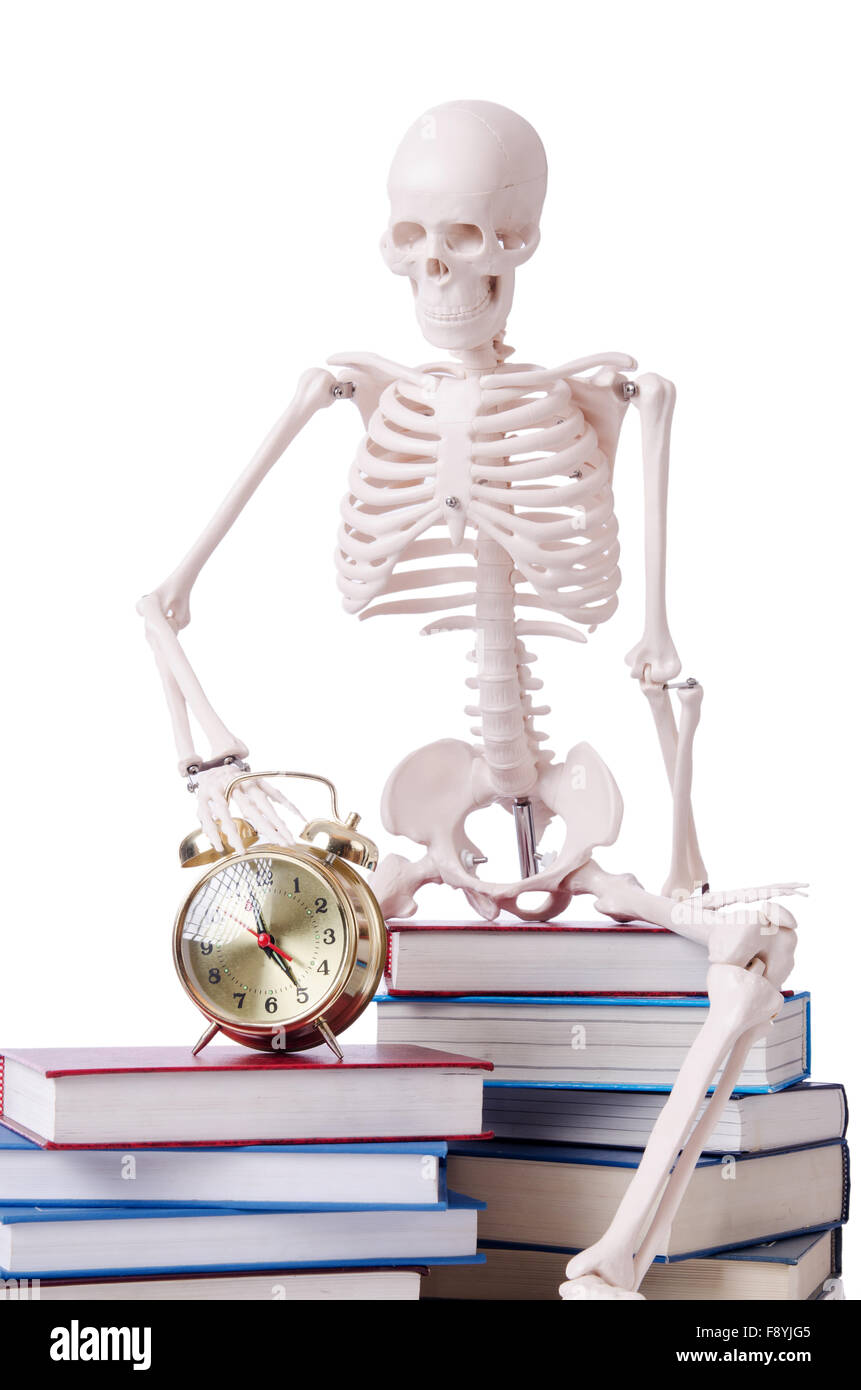 Skeleton reading books on white Stock Photo - Alamy