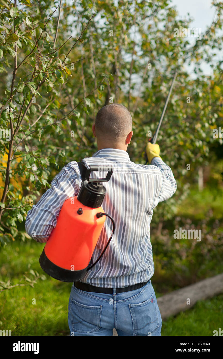 Man spraying tree branches in garden Stock Photo - Alamy