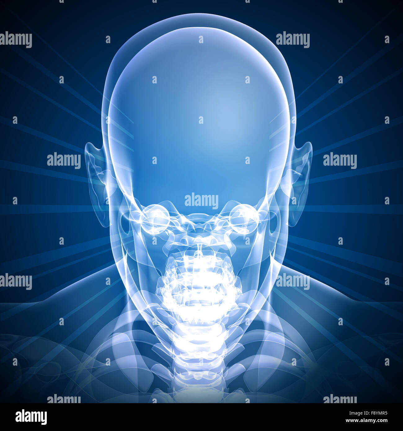 Front face skull x-ray image Stock Photo - Alamy