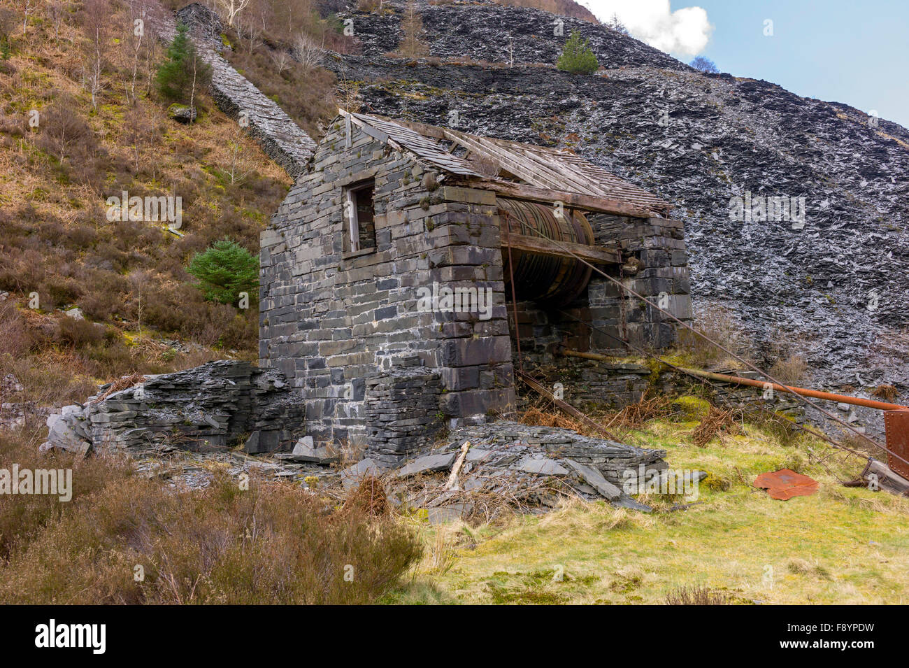 In amongst the remains of the slate workings of Aberllenni quarries ...