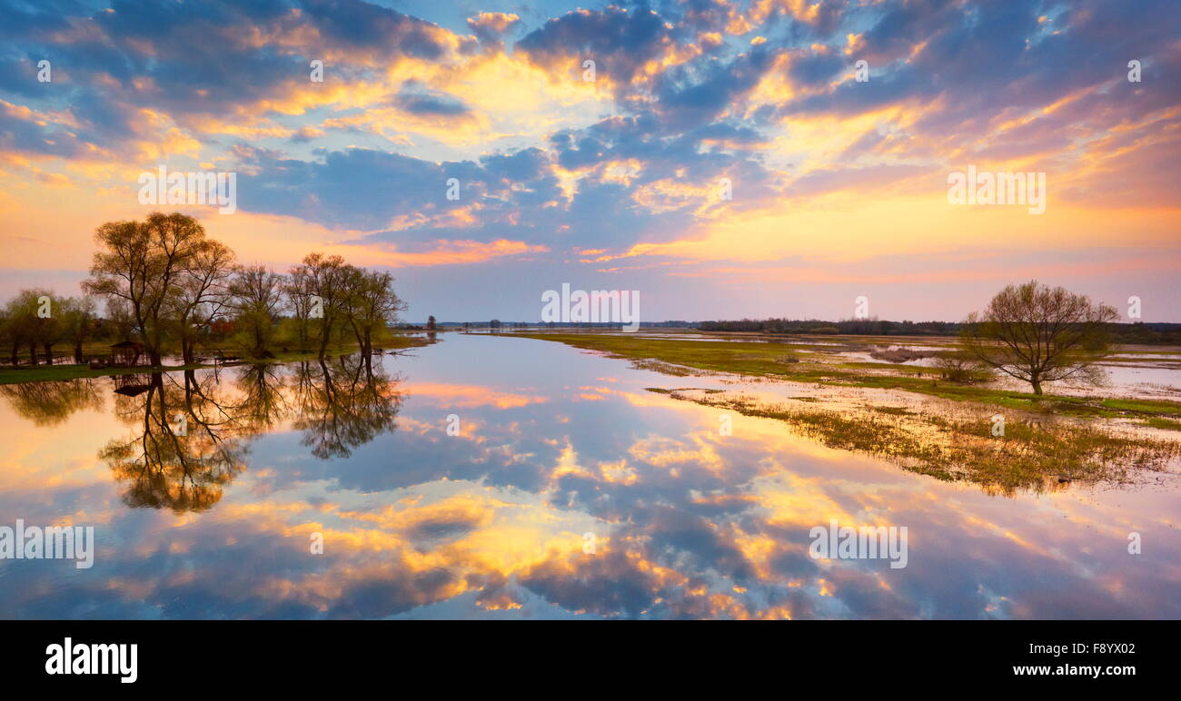 Sunset at Biebrzanski National Park, Podlasie region, Poland Stock ...