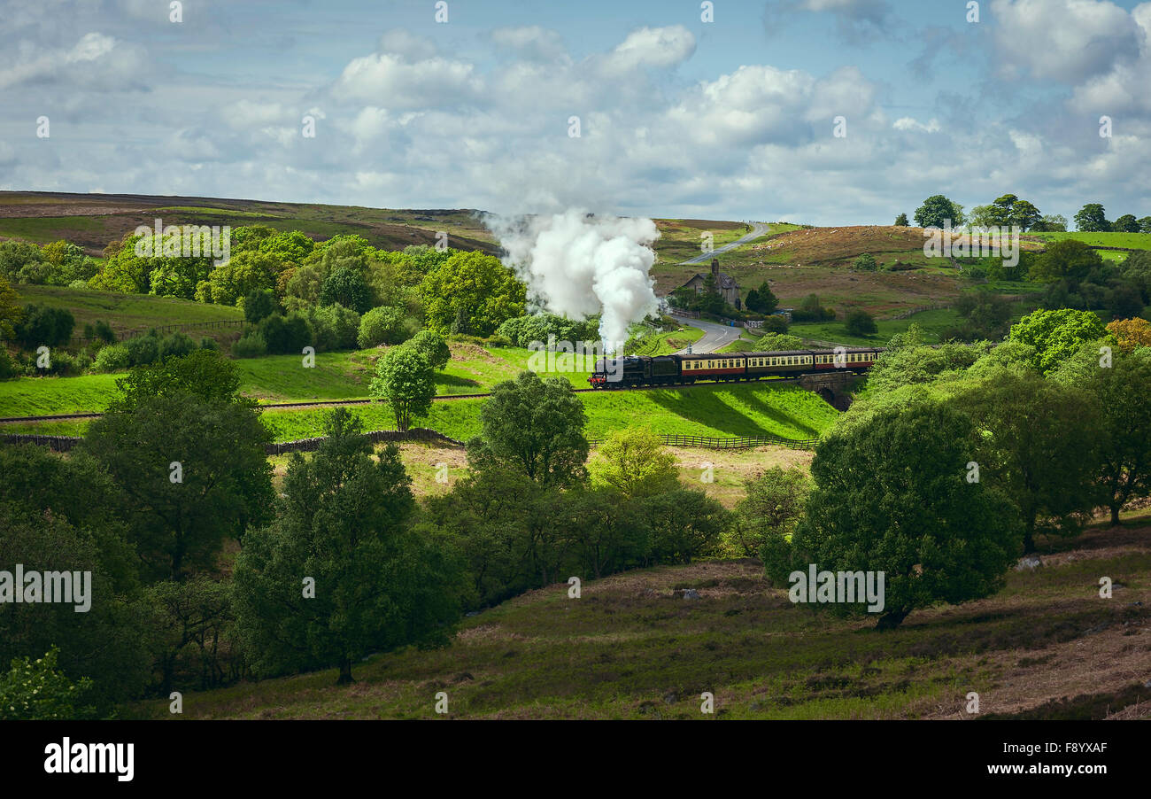 A vintage steam train makes it's way across the North York Moors ...