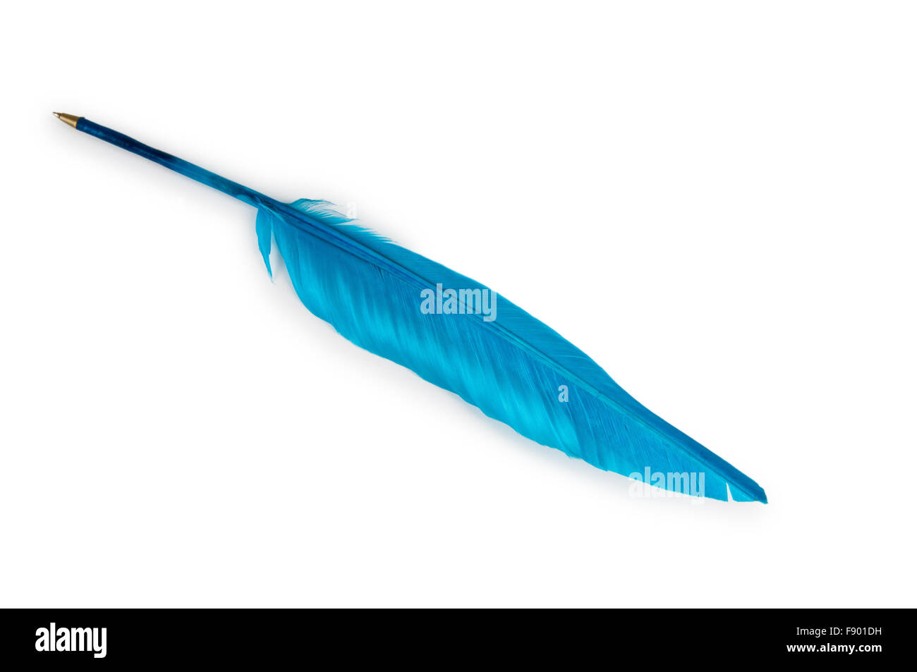 Writing feather isolated on the white background Stock Photo - Alamy