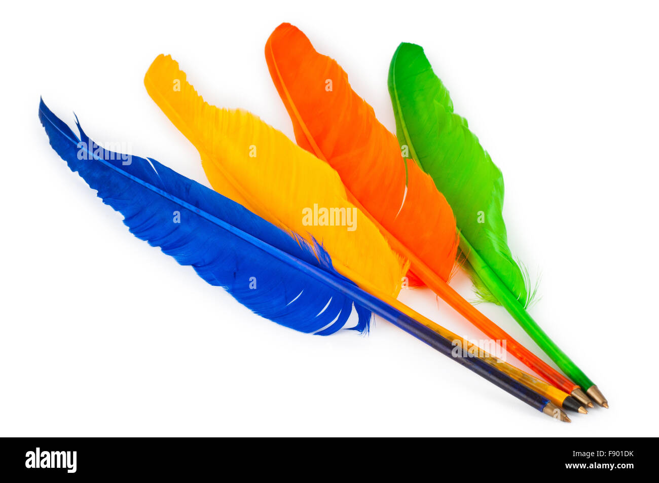 Writing feather isolated on the white background Stock Photo - Alamy