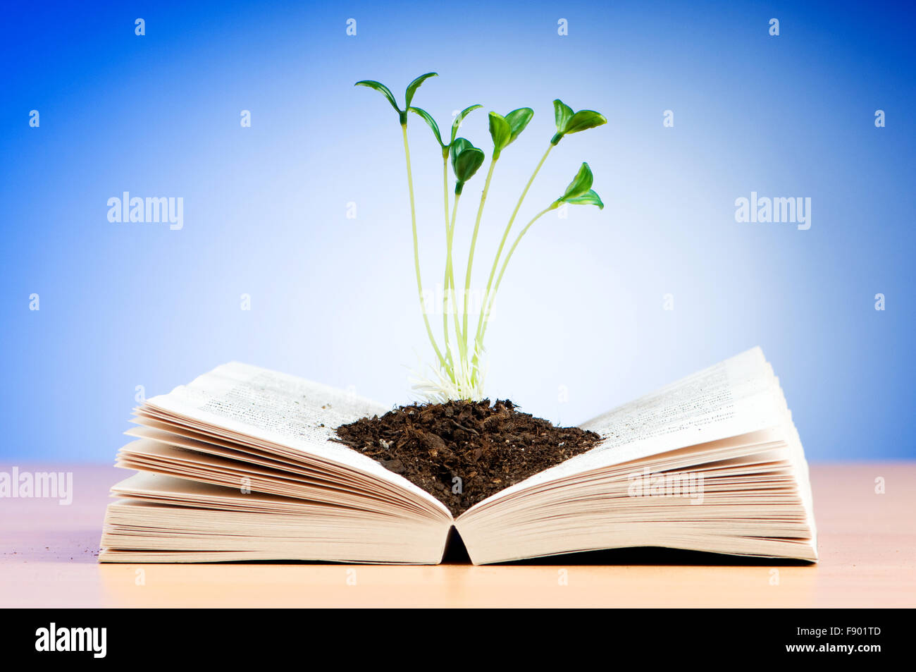 Seedlings book hi-res stock photography and images - Alamy