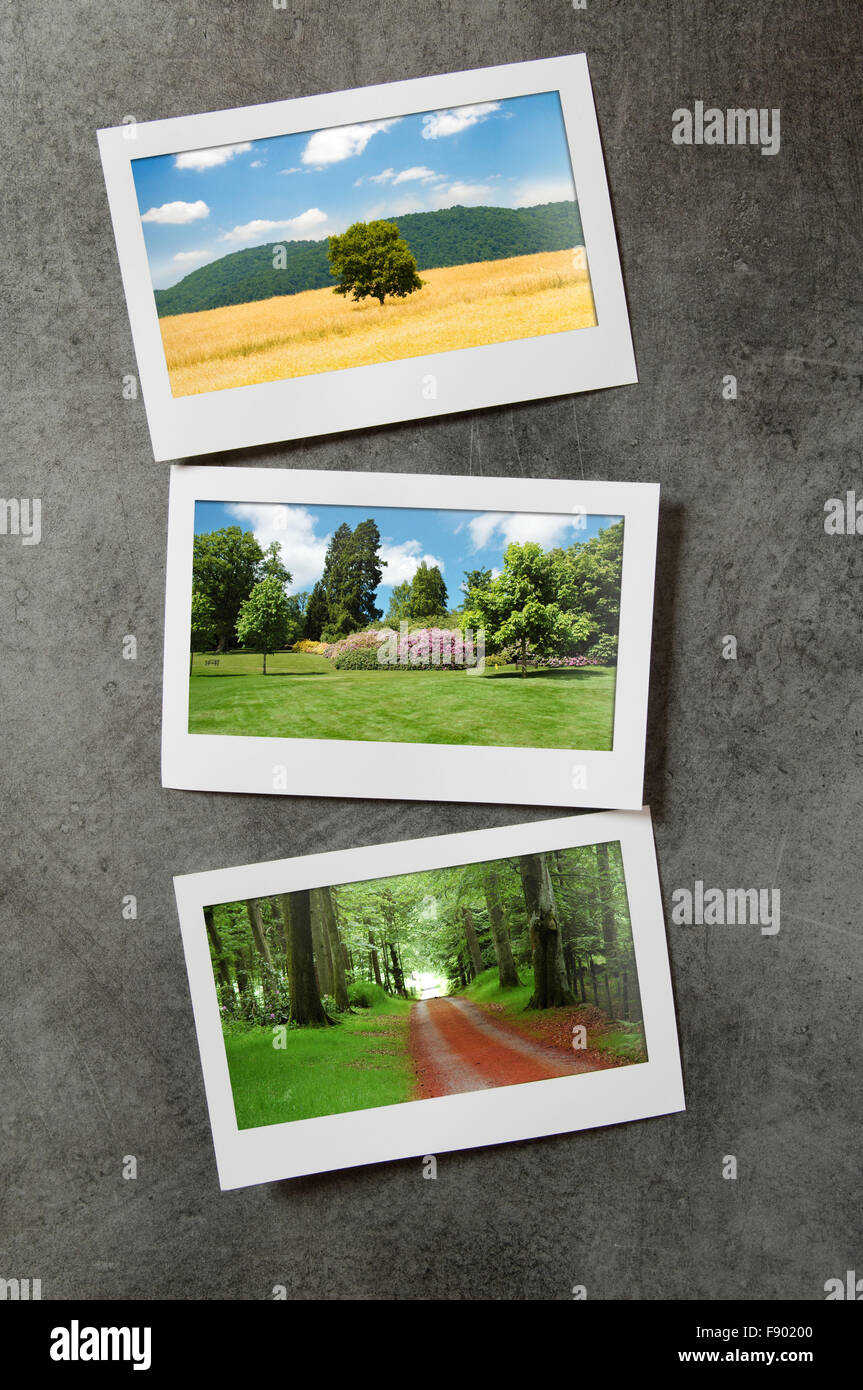 Forest on the picture frames Stock Photo - Alamy