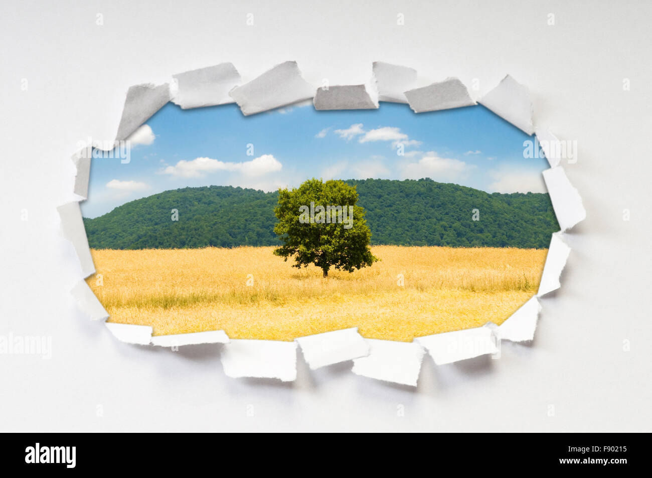 Torn paper with trees through the hole Stock Photo - Alamy