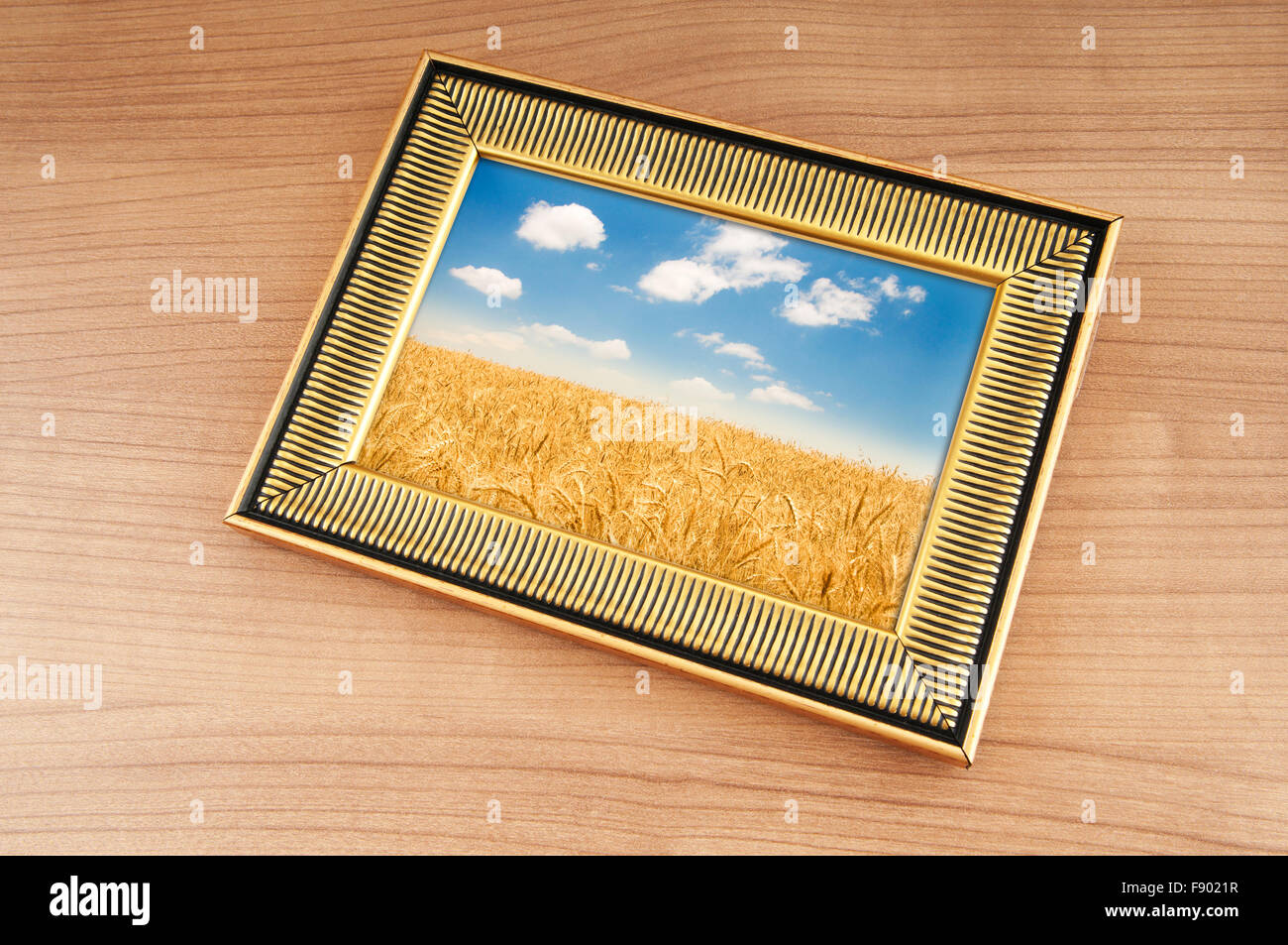 Wheat field in the picture frame Stock Photo - Alamy