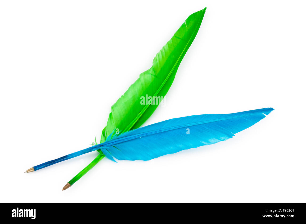 Writing feather isolated on the white background Stock Photo - Alamy