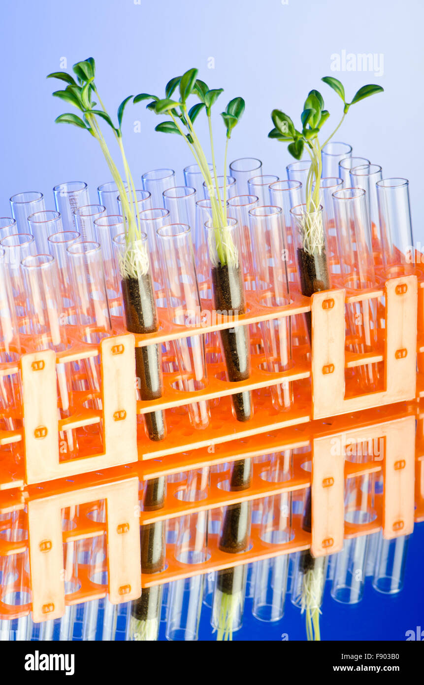 Tree seedling growing in test hi-res stock photography and images - Alamy