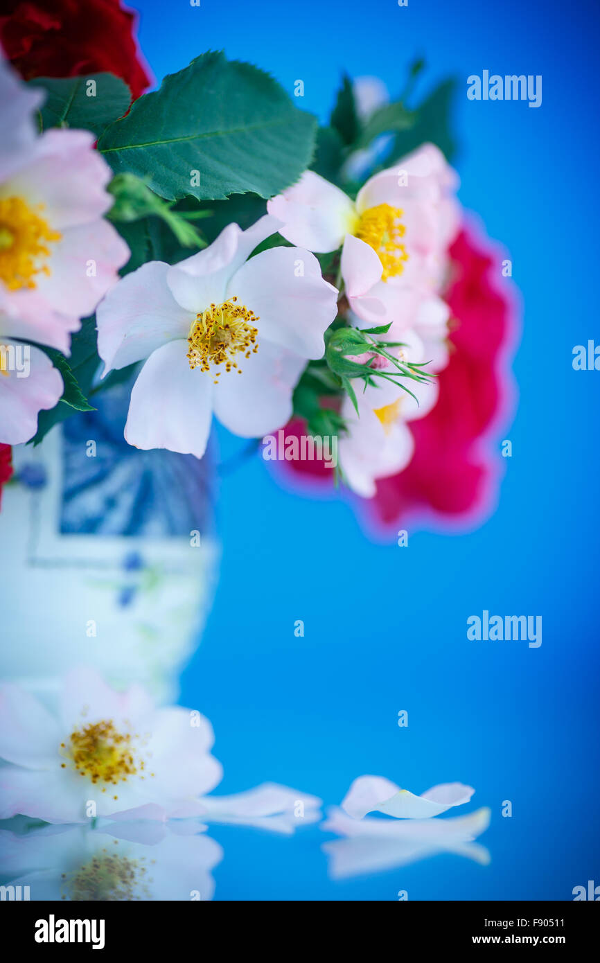 bouquet of beautiful wild roses Stock Photo - Alamy
