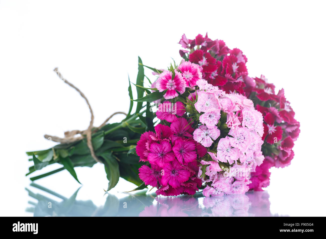 bright bouquet of carnations Stock Photo - Alamy
