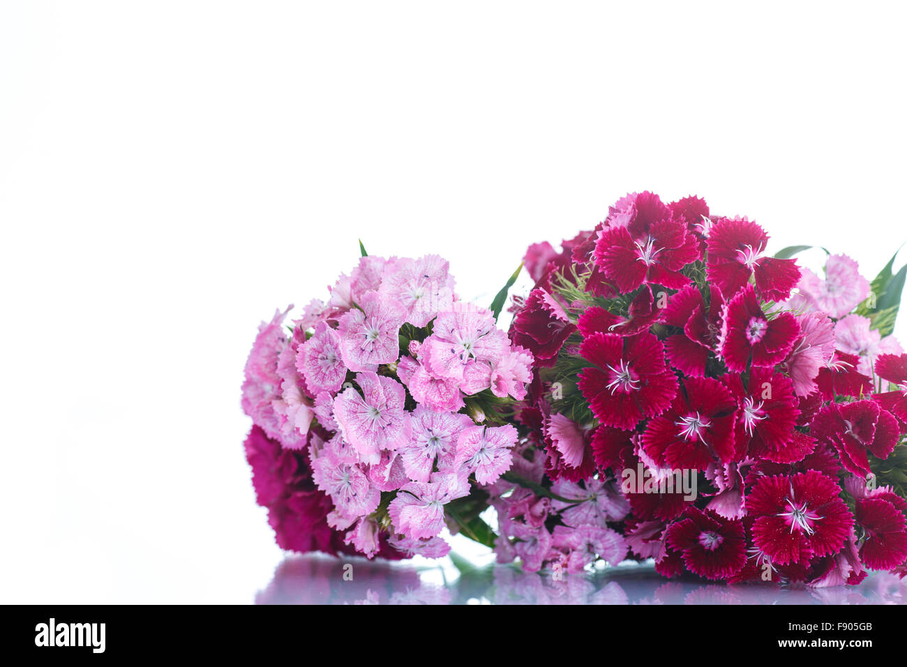 bright bouquet of carnations Stock Photo - Alamy