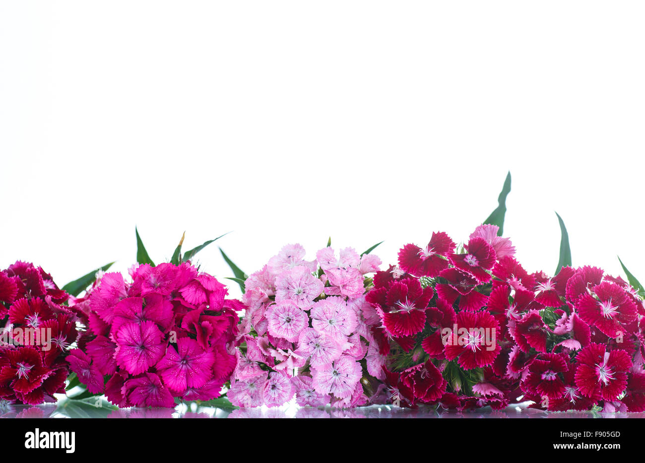bright bouquet of carnations Stock Photo - Alamy