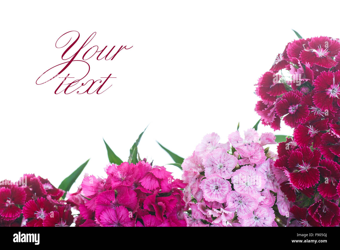 bright bouquet of carnations Stock Photo - Alamy