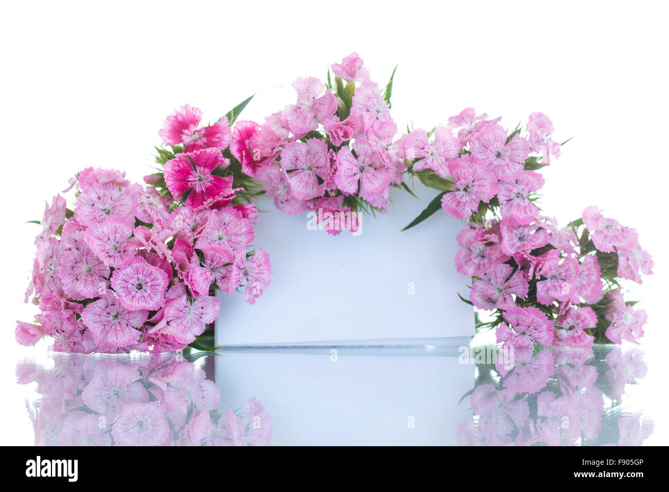 bright bouquet of carnations Stock Photo - Alamy
