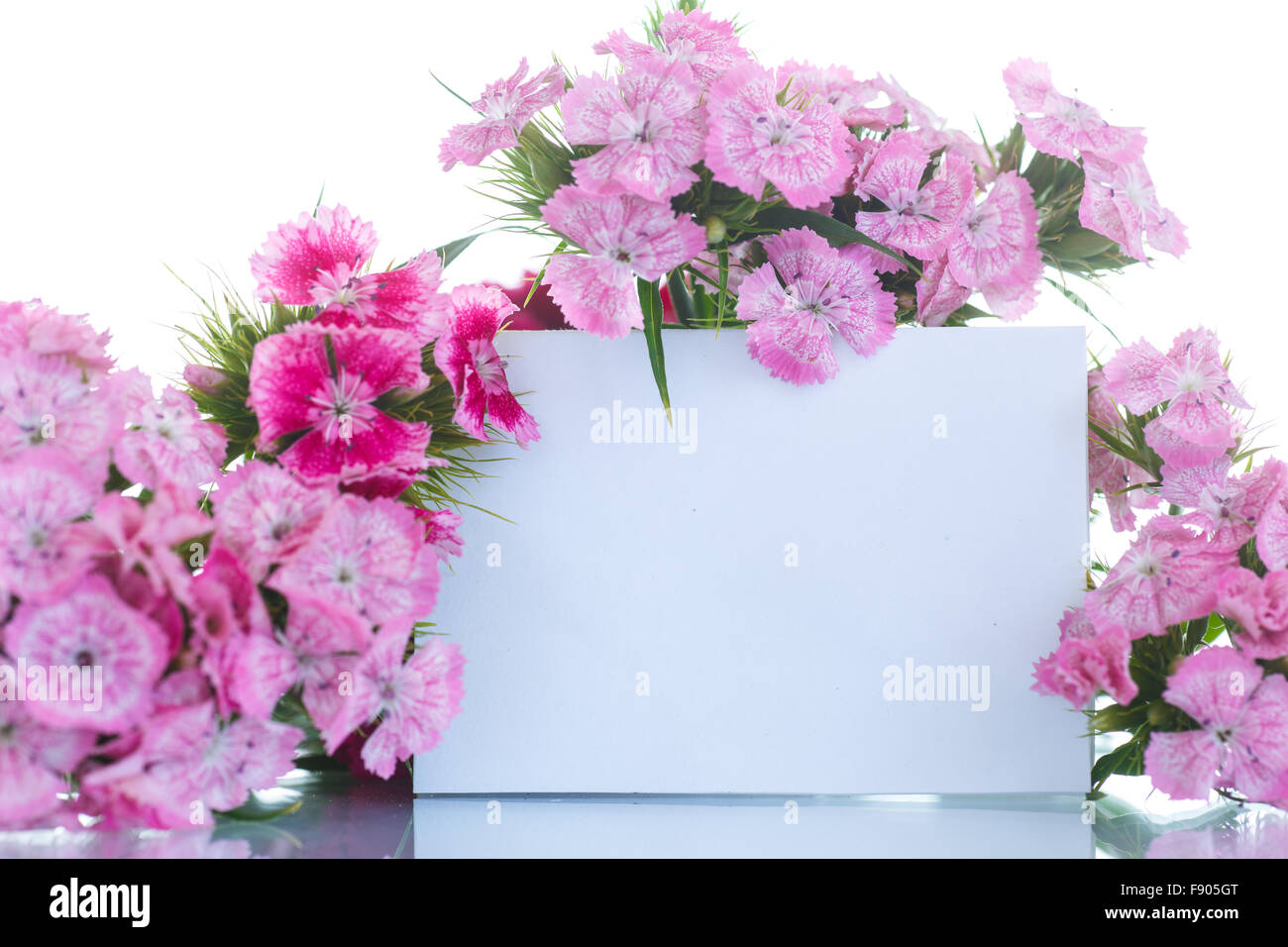 bright bouquet of carnations Stock Photo - Alamy