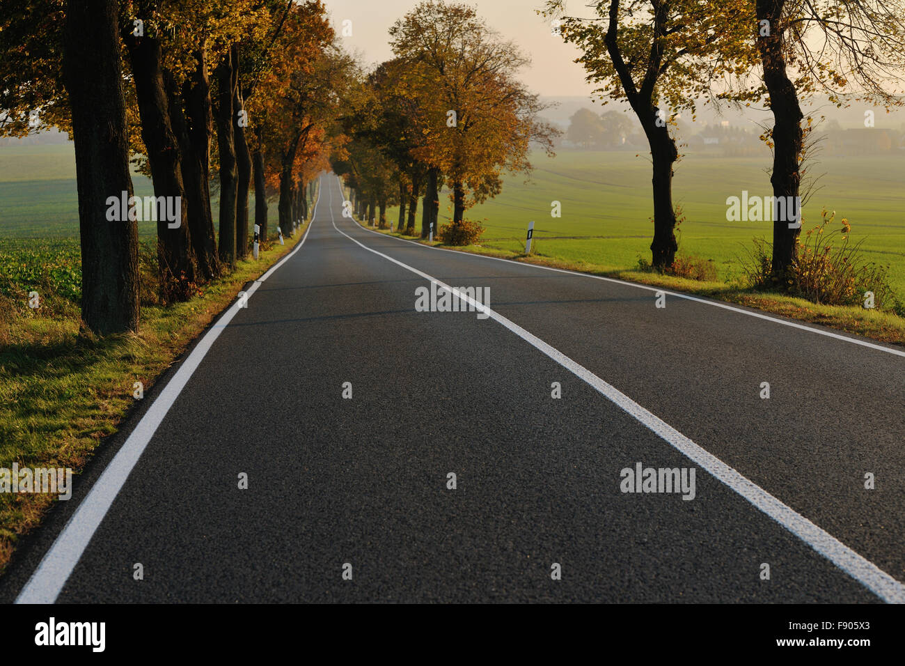 country road at autumn season with bright orange colors at morning ...