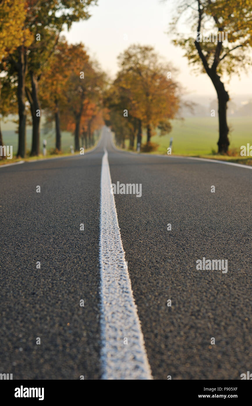 country road at autumn season with bright orange colors at morning ...