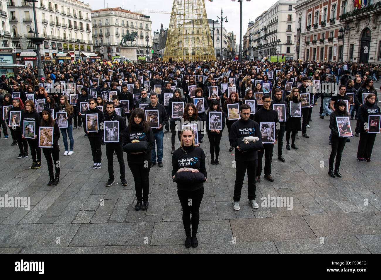 Madrid, Spain. 12th Dec, 2015. People protesting with dead animals and ...