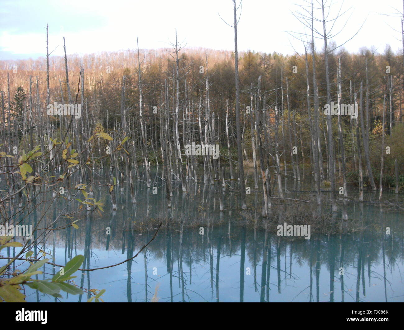 blue water natural pond Stock Photo - Alamy