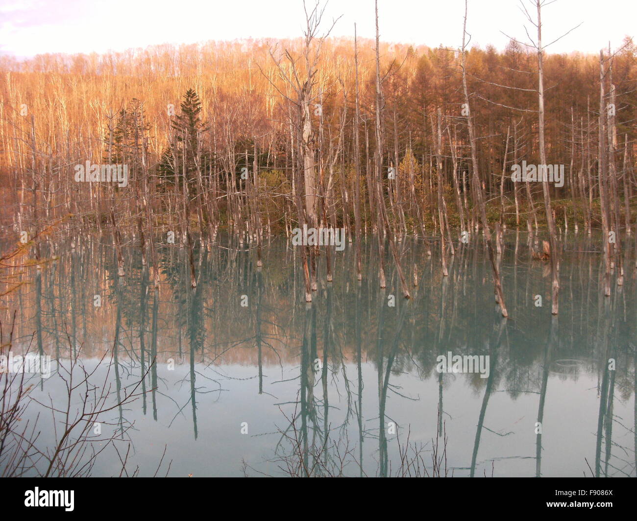 blue water natural pond Stock Photo - Alamy
