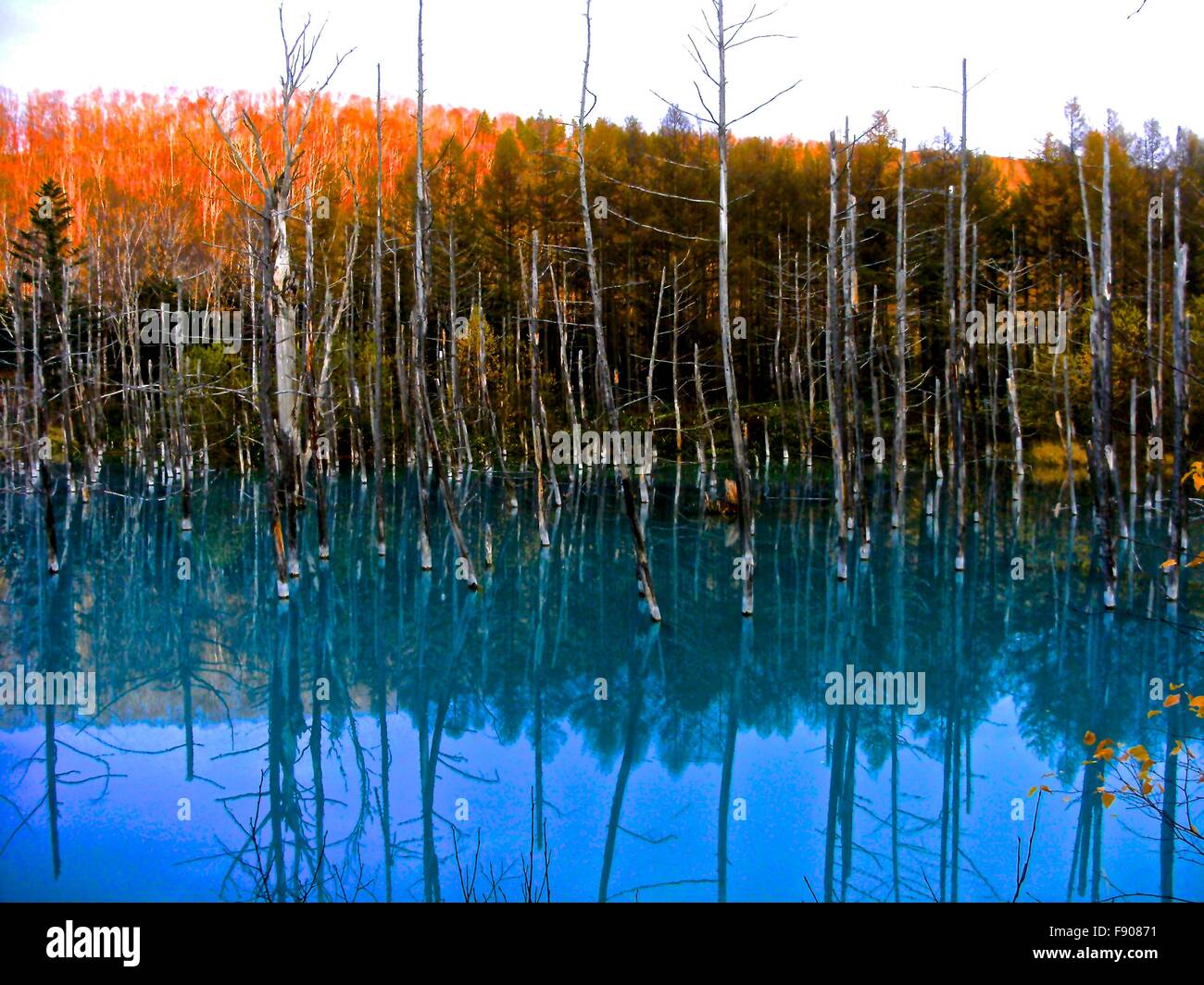blue water natural pond Stock Photo - Alamy