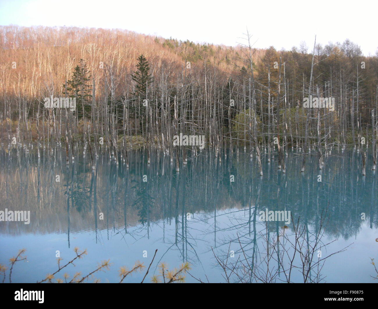 blue water natural pond Stock Photo - Alamy