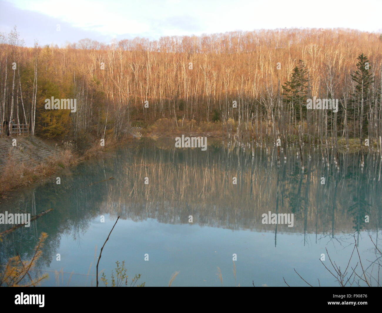 blue water natural pond Stock Photo - Alamy