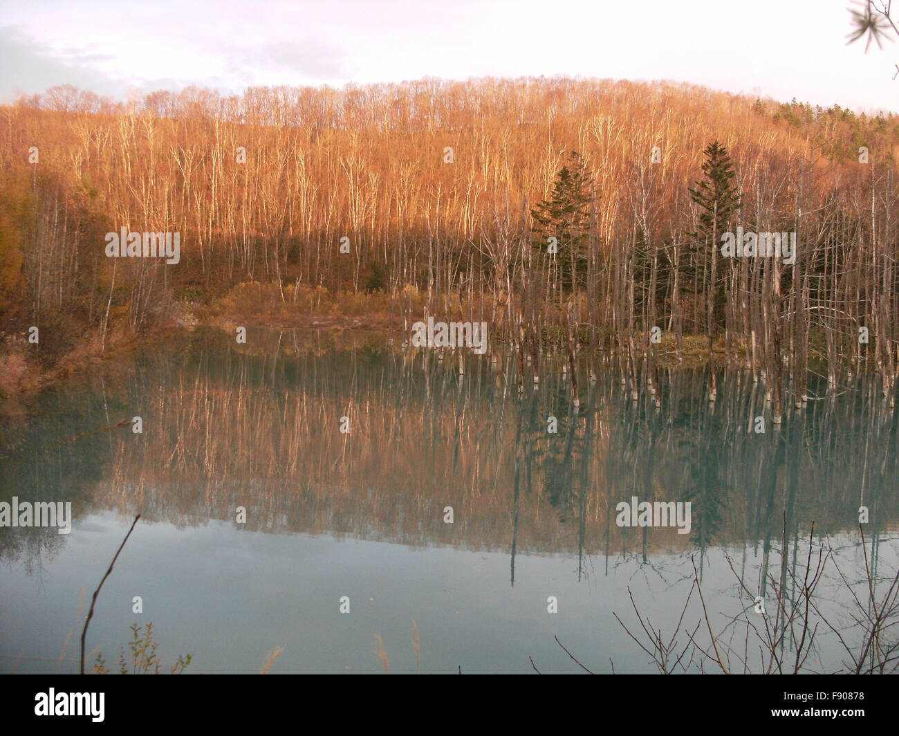 blue water natural pond Stock Photo - Alamy