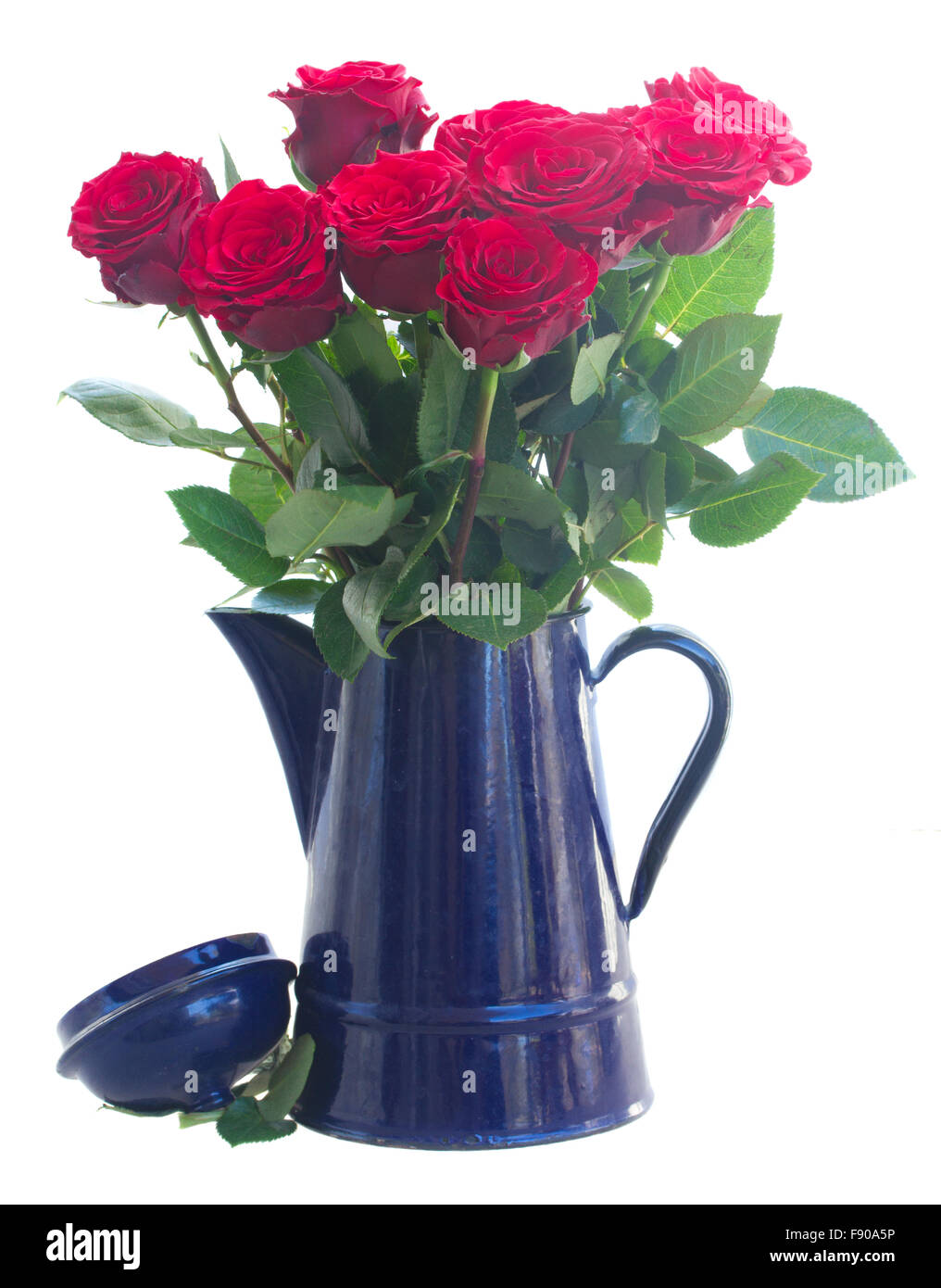 red roses in blue pot Stock Photo - Alamy