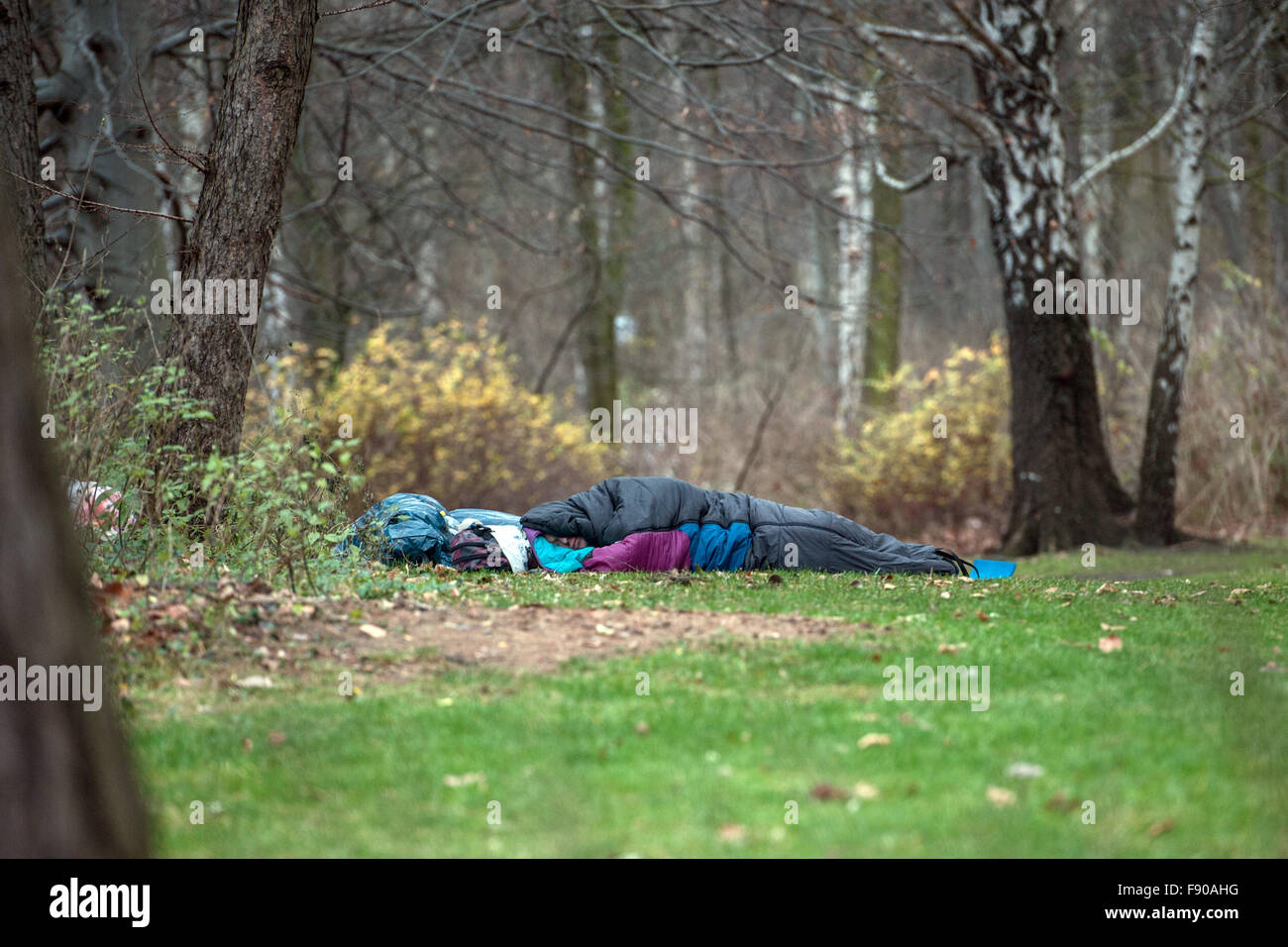 Berlin, Germany. 12th Dec, 2015. A homeless man sleeps on a meadow ...