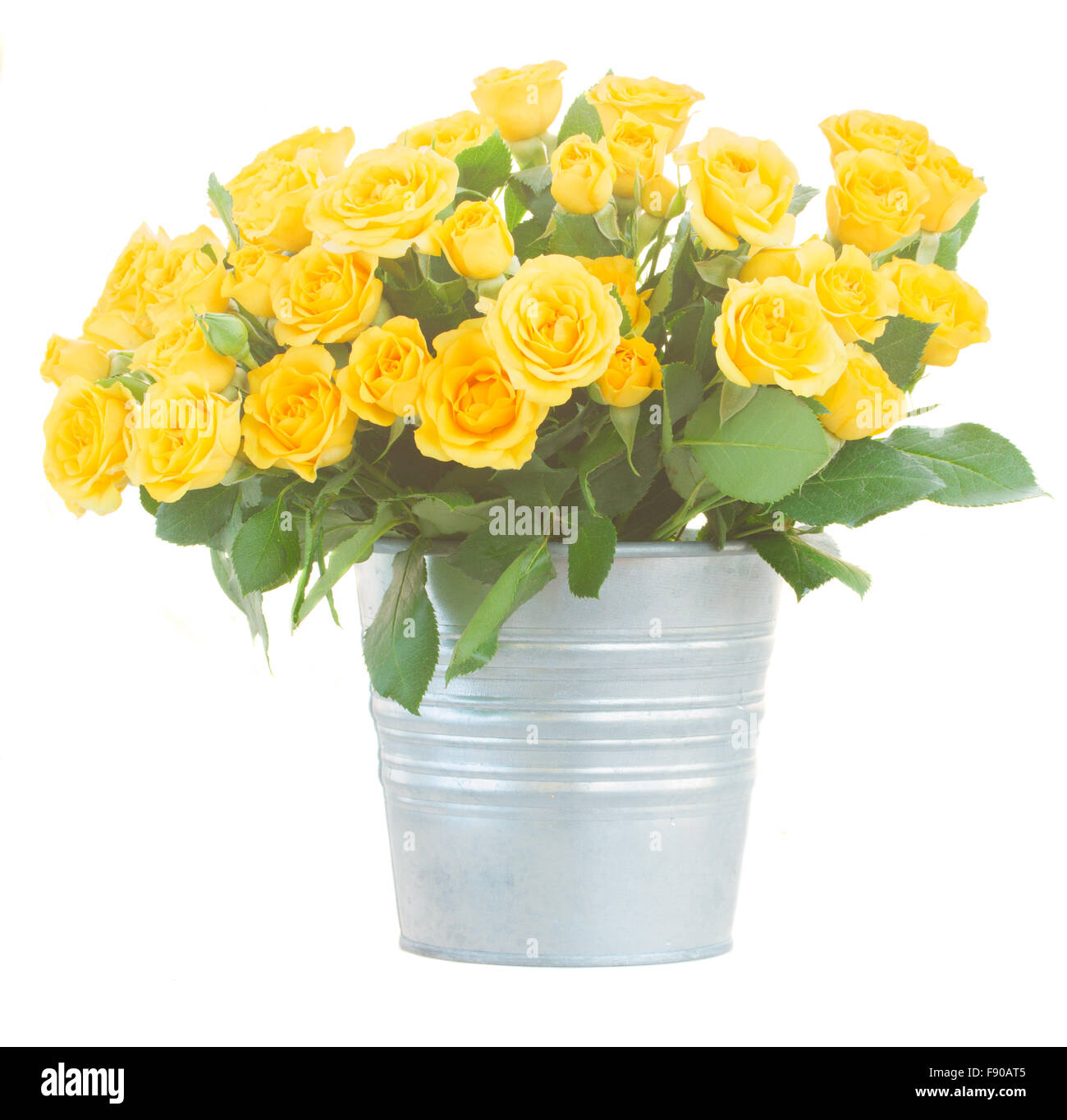 bouquet of fresh roses Stock Photo - Alamy