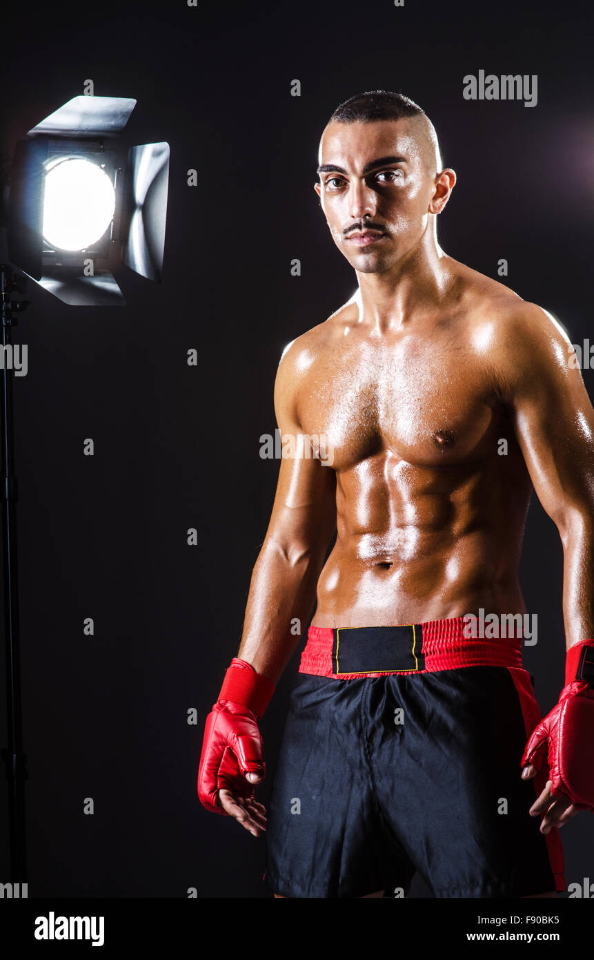 Boxer and studio lights Stock Photo - Alamy