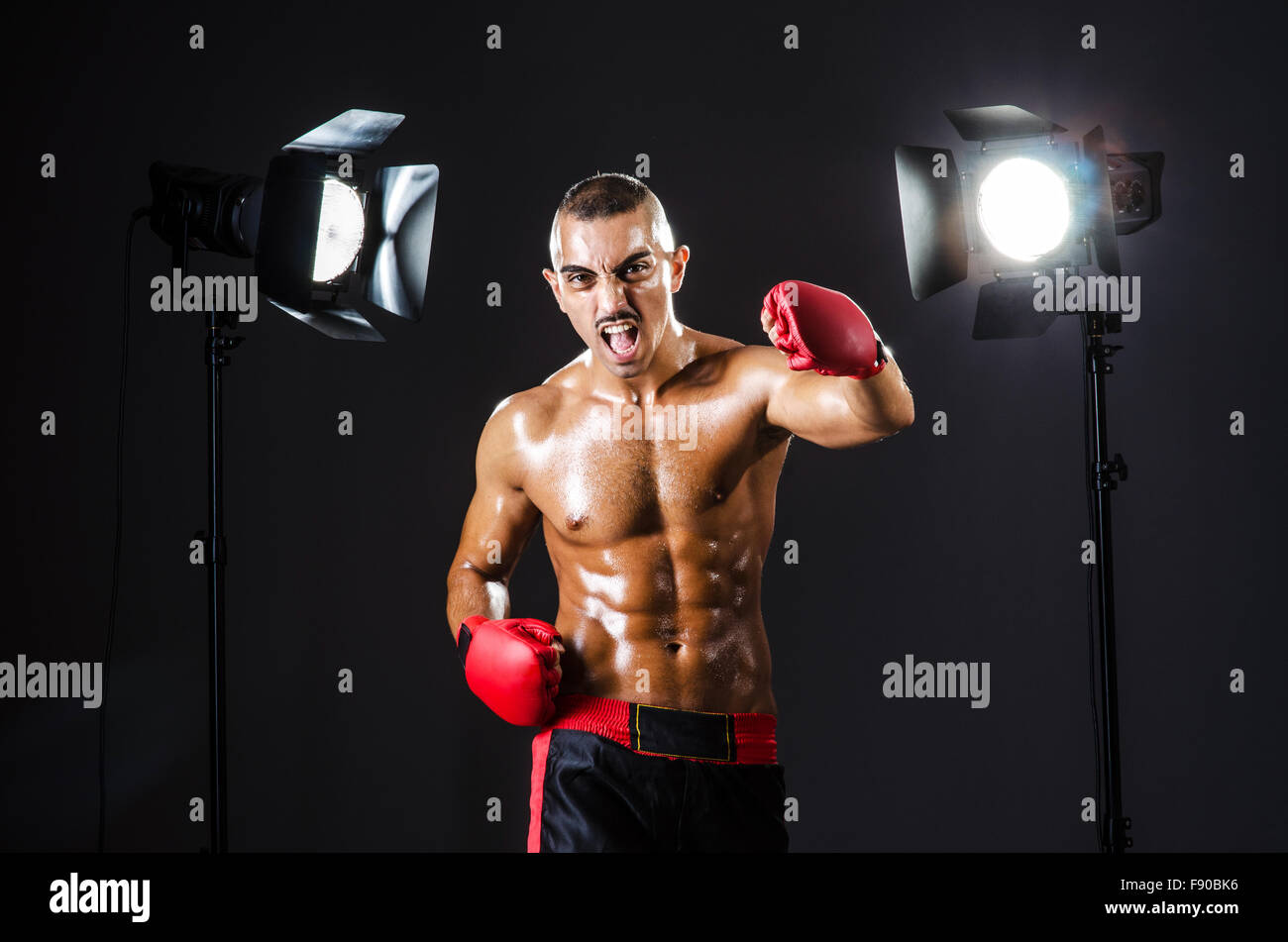 Boxer and studio lights Stock Photo - Alamy