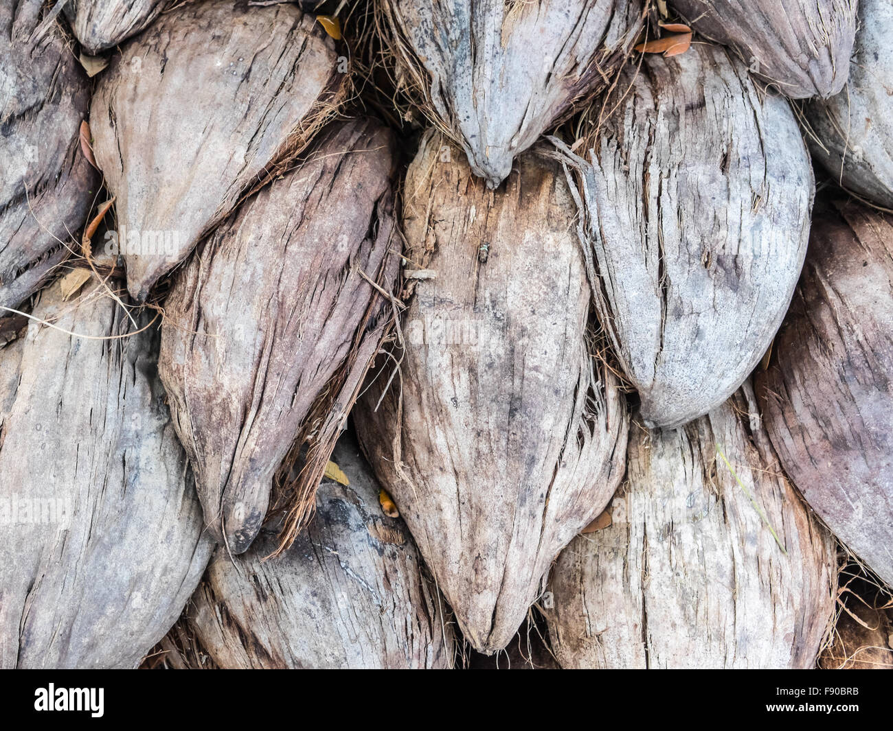 Leave pile hi-res stock photography and images - Alamy