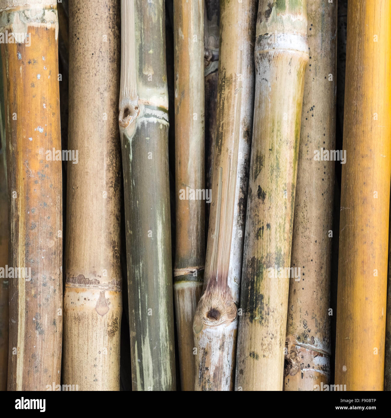 Pile of bamboo stalks Stock Photo - Alamy