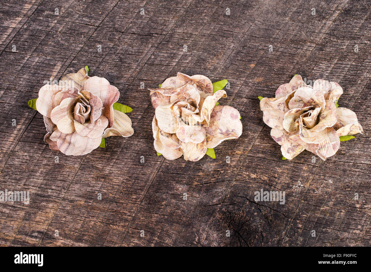 Paper flowers on barn wood Stock Photo - Alamy