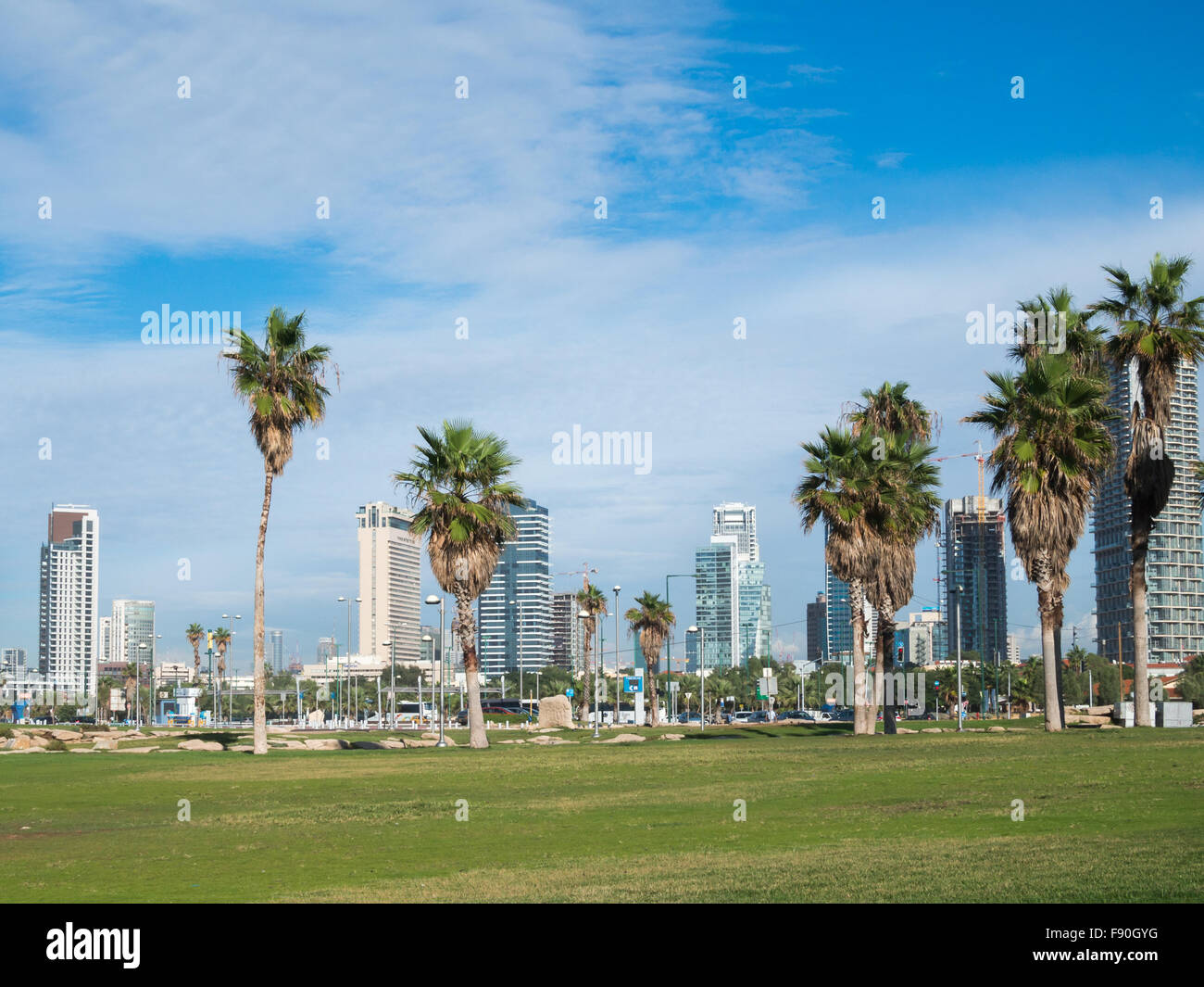 Downtown Tel Aviv towers and palm trees Stock Photo - Alamy